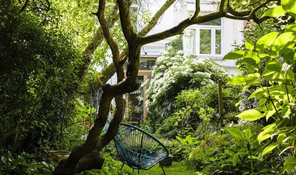 Ecologisch tuinieren | Velt